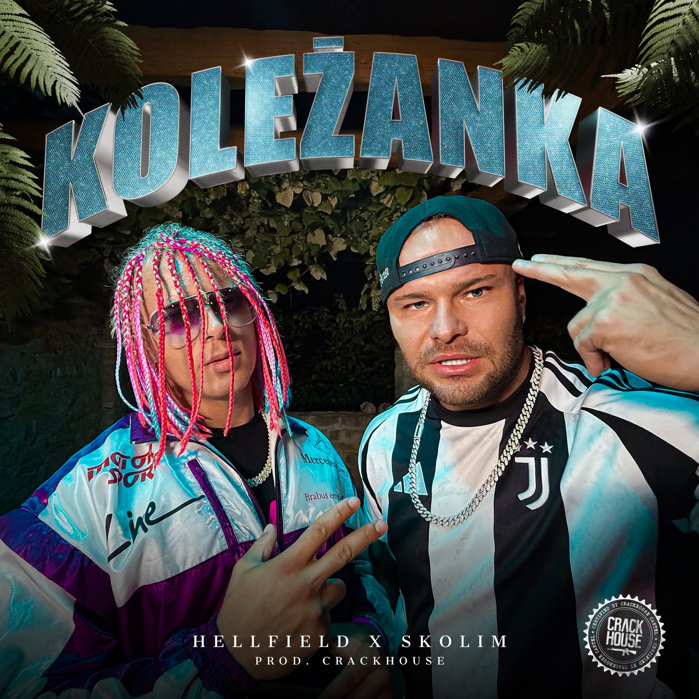 Koleżanka by Hellfield, CrackHouse and Skolim on Beatsource