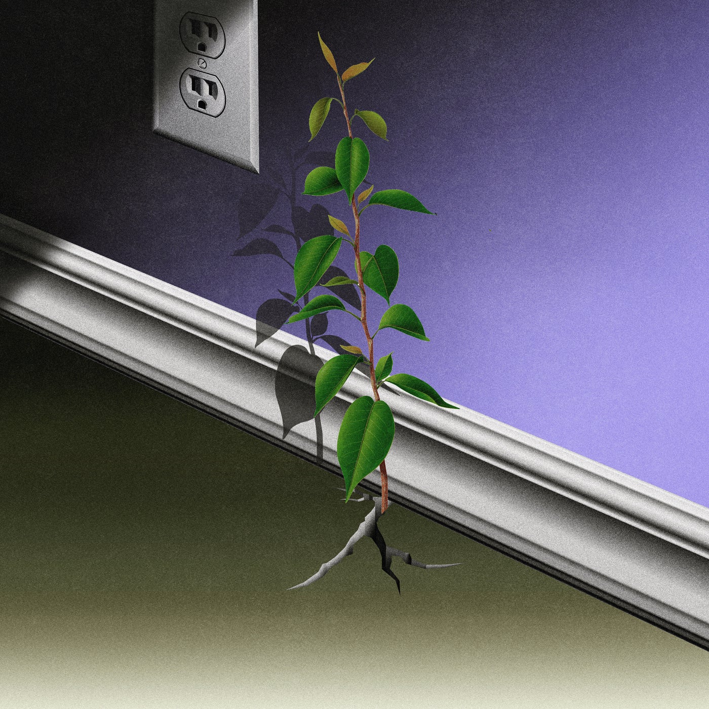 Eucalyptus by Elijah Who and Ben Beal on Beatsource