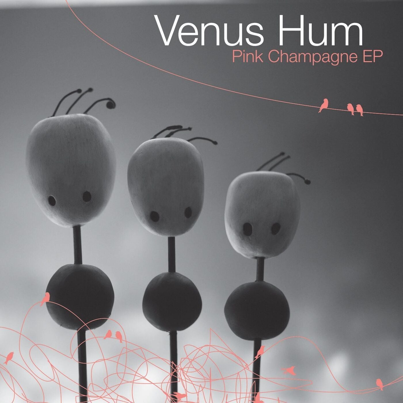 Pink Champagne by Venus Hum on Beatsource