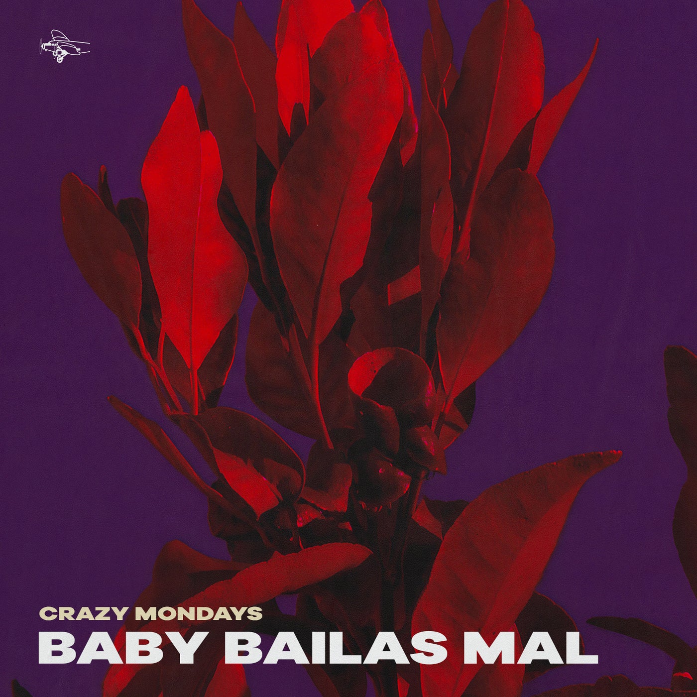 Baby Bailas Mal by Crazy Mondays on Beatsource