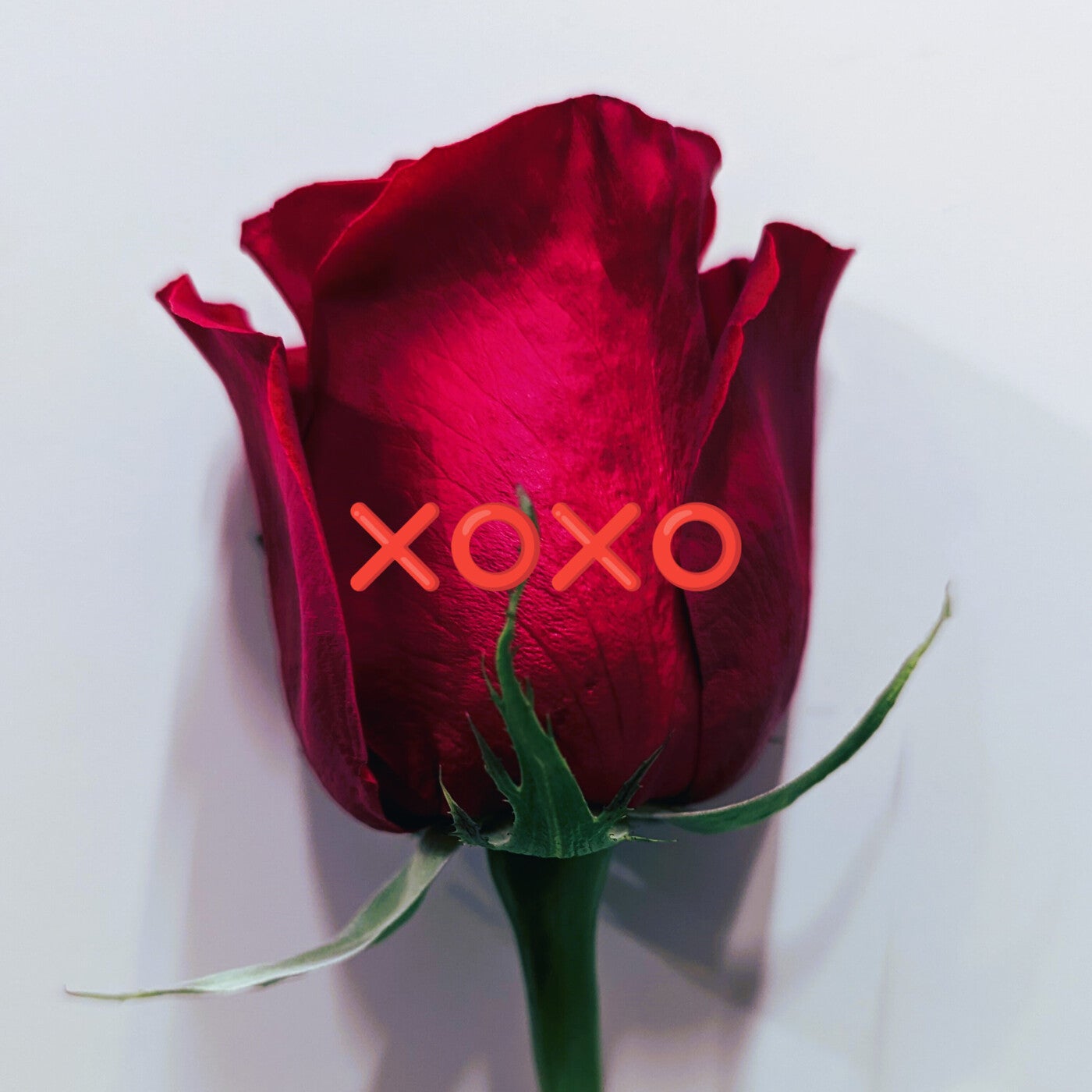 XOXO by 8X3407 on Beatsource
