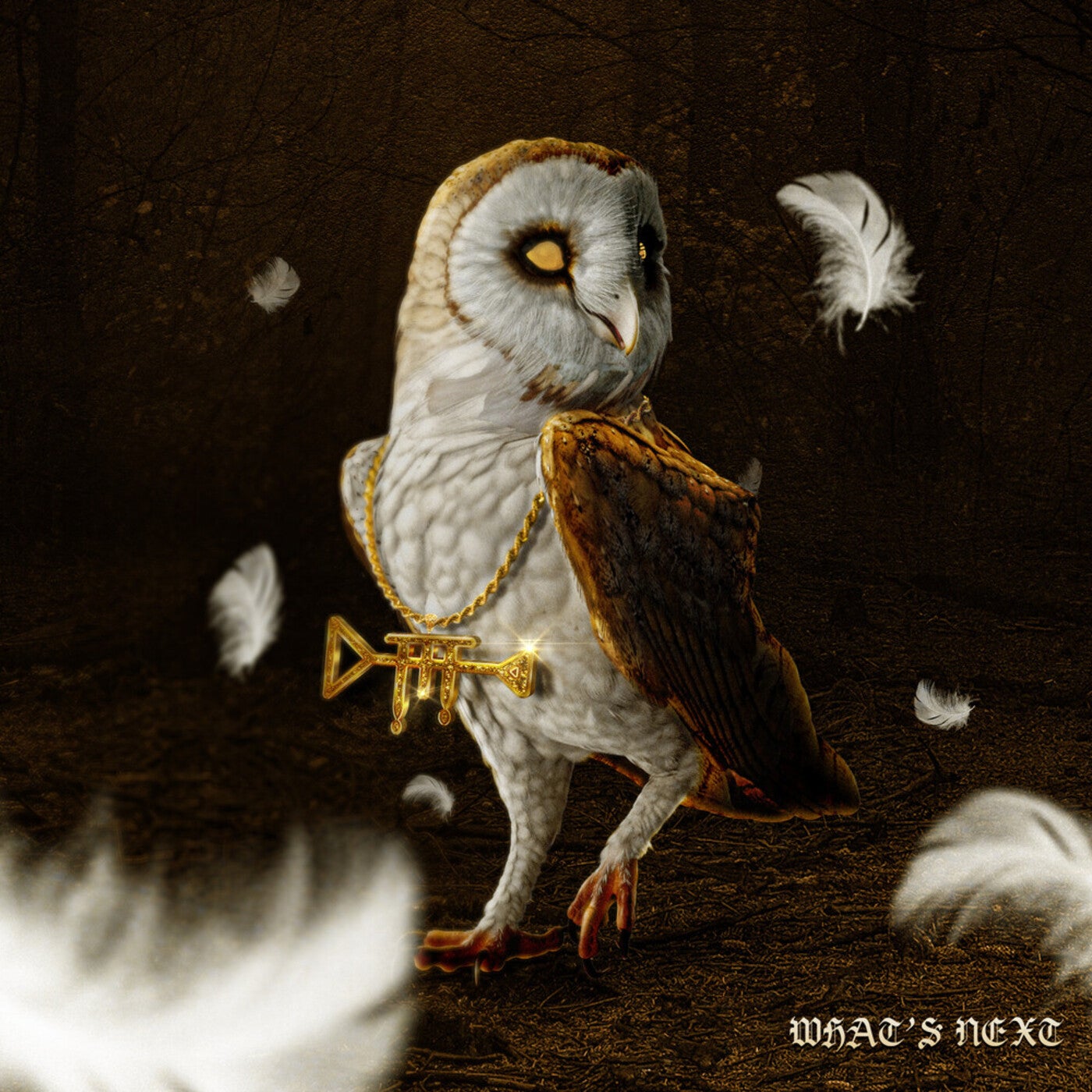 What's Next by Brasstracks on Beatsource