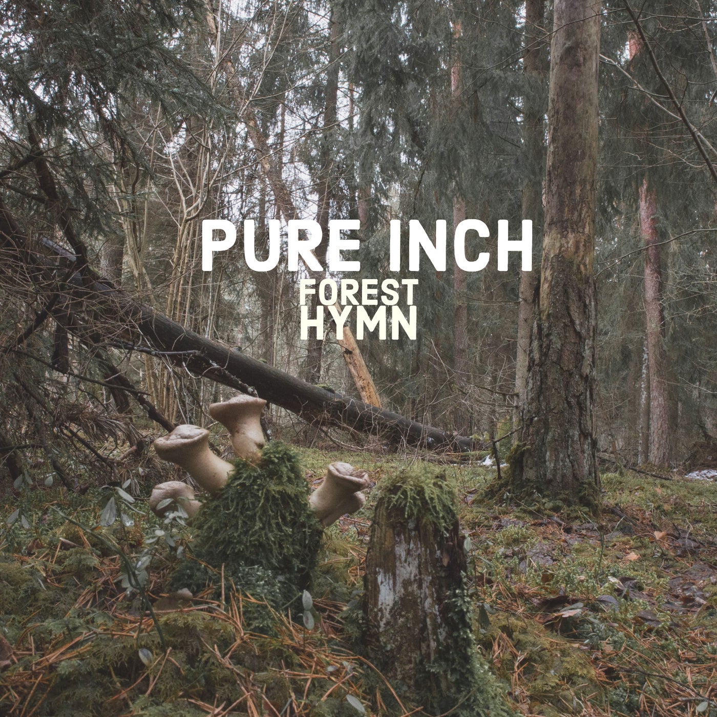 Forest Hymn by Pure Inch on Beatsource