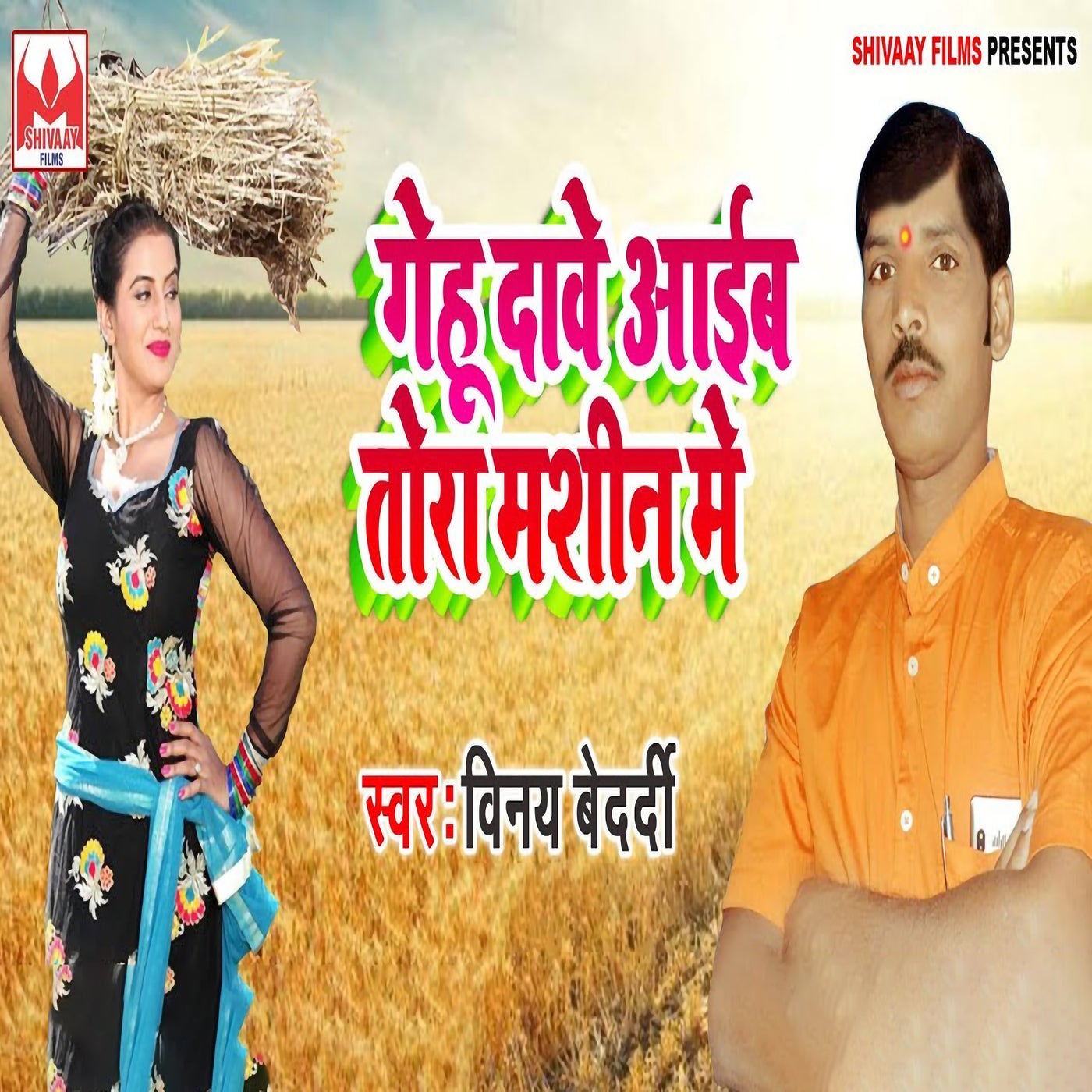 Gehu Dawe Aaib Tora Masin Me by Vinay Bedardi on Beatsource