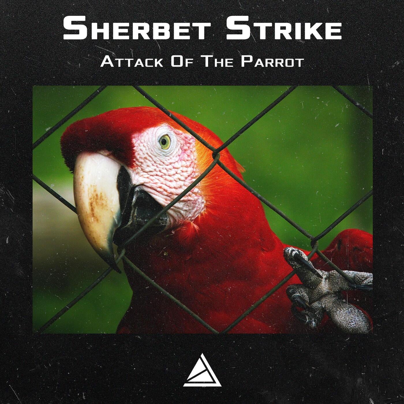 Attack of the Parrot by Sherbet Strike on Beatsource