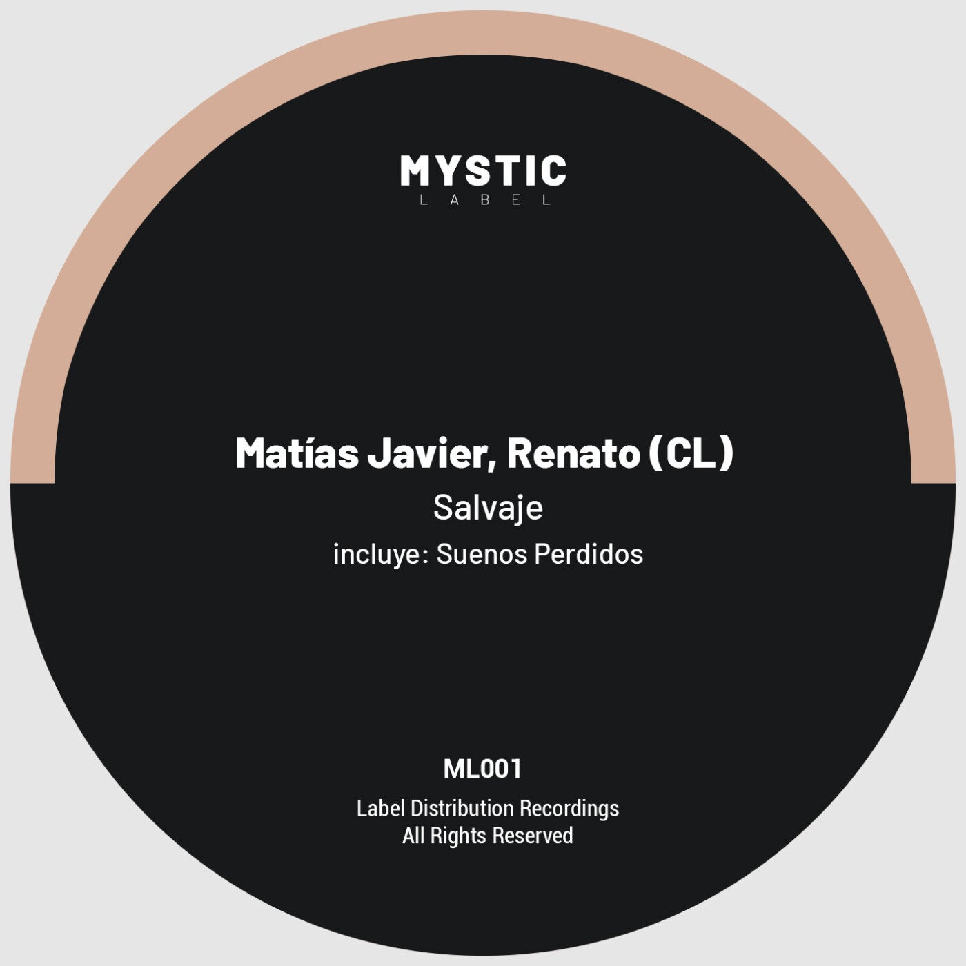 Salvaje by Renato (CL) and Matias Javier on Beatsource