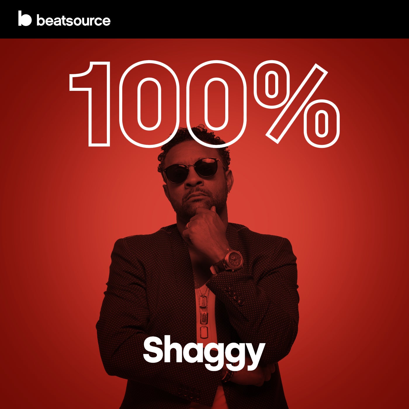 100% Shaggy Playlist for DJs on Beatsource
