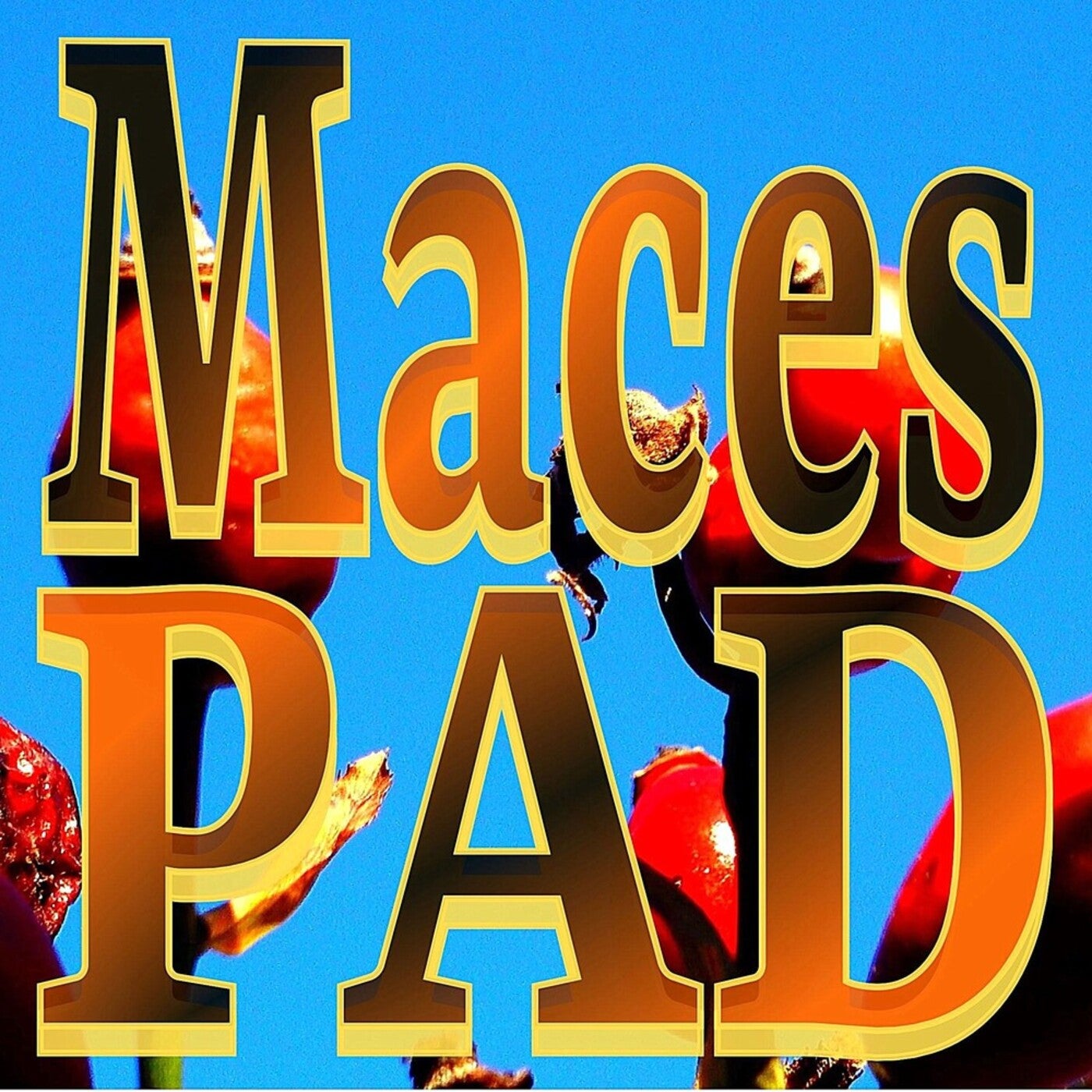Maces by Paduraru on Beatsource