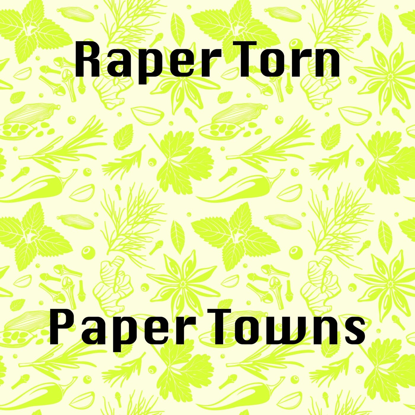 Paper Towns by Raper Torn on Beatsource
