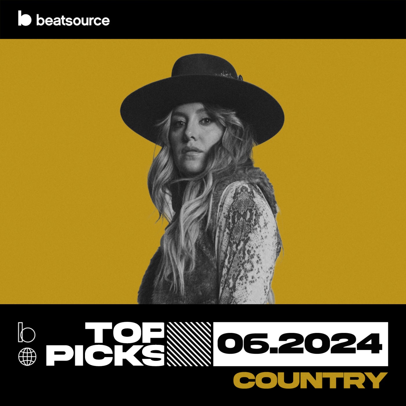 Country Top Picks - June 2024 Playlist for DJs on Beatsource