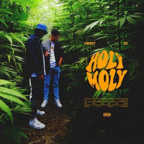 Holy Moly by ZK and DIBSET on Beatsource