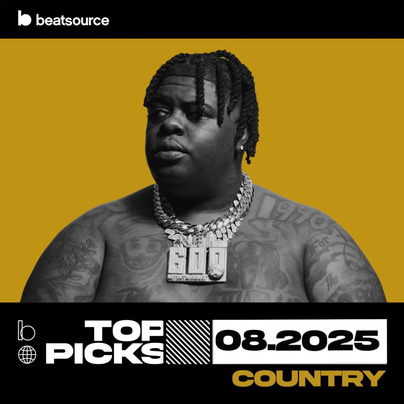Country Top Picks - August 2025 Playlist for DJs on Beatsource