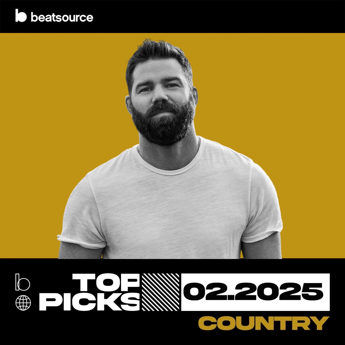 Country Top Picks February 2025 Playlist for DJs on Beatsource