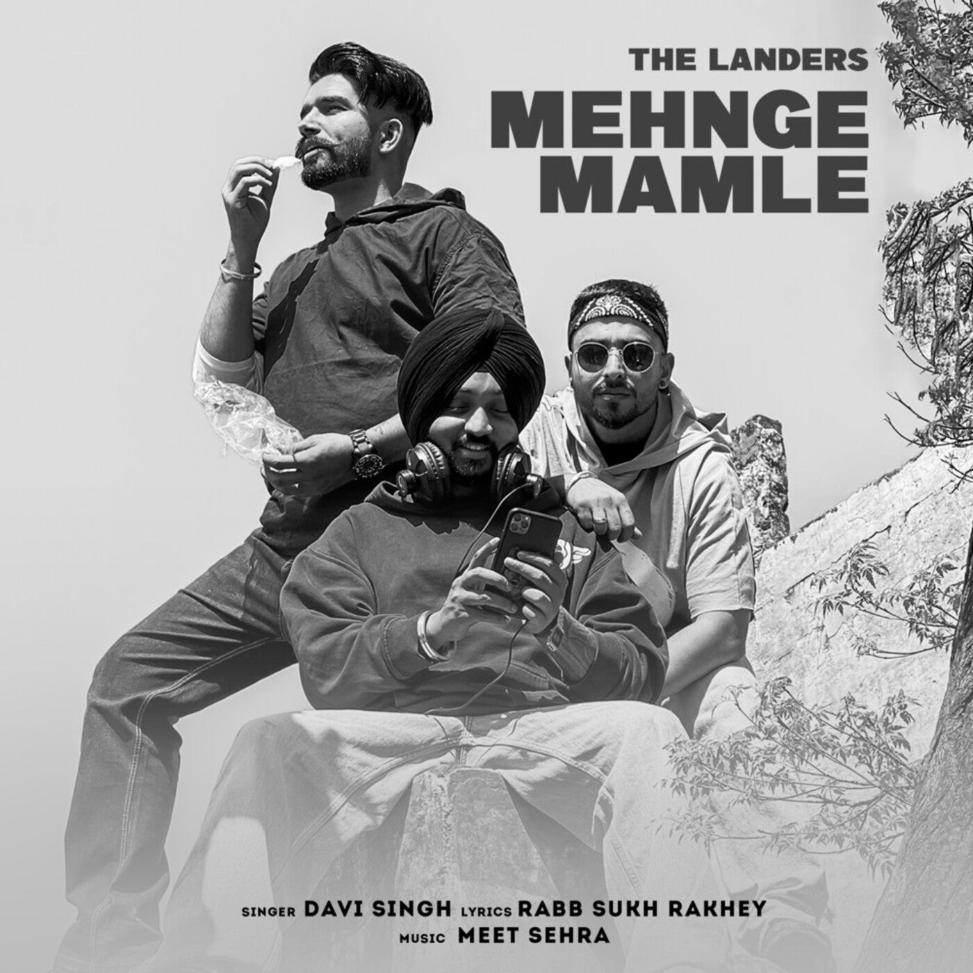 Mehnge Mamle by The Landers and Davi Singh on Beatsource