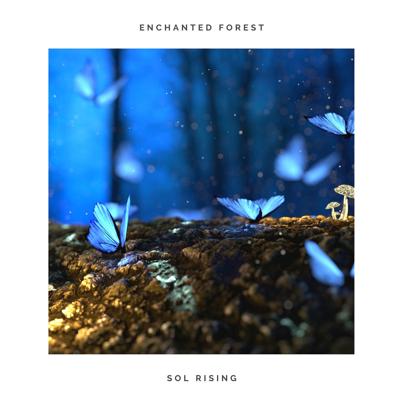 Enchanted Forest by Sol Rising on Beatsource