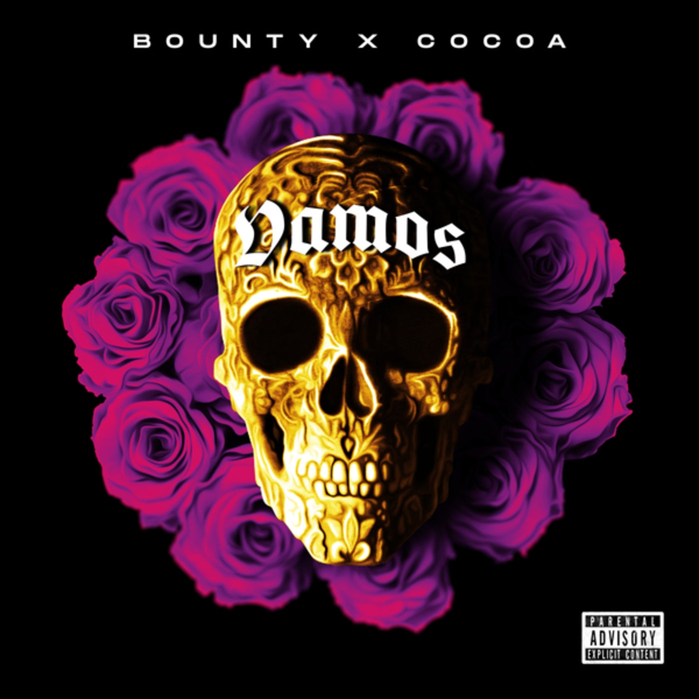 VAMOS by BOUNTY & COCOA on Beatsource