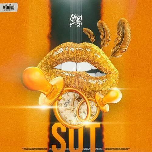 Sut by Ude Af Kontrol on Beatsource