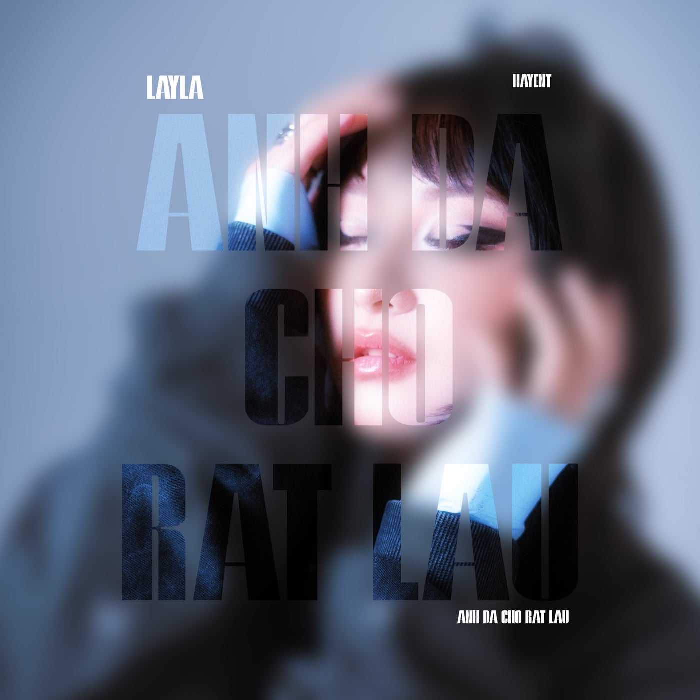 Anh Đã Chờ Rất Lâu by Layla on Beatsource