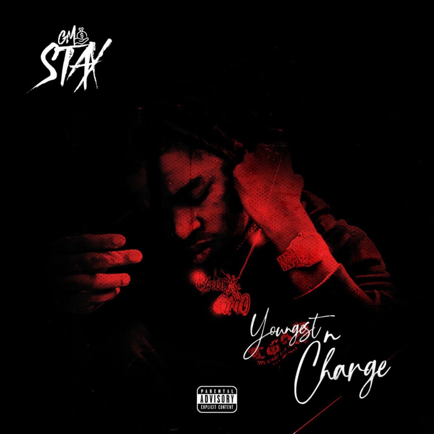 Youngest N Charge by Pooh Shiesty, GMO Stax, Babyface Ray, Ghetto Baby ...