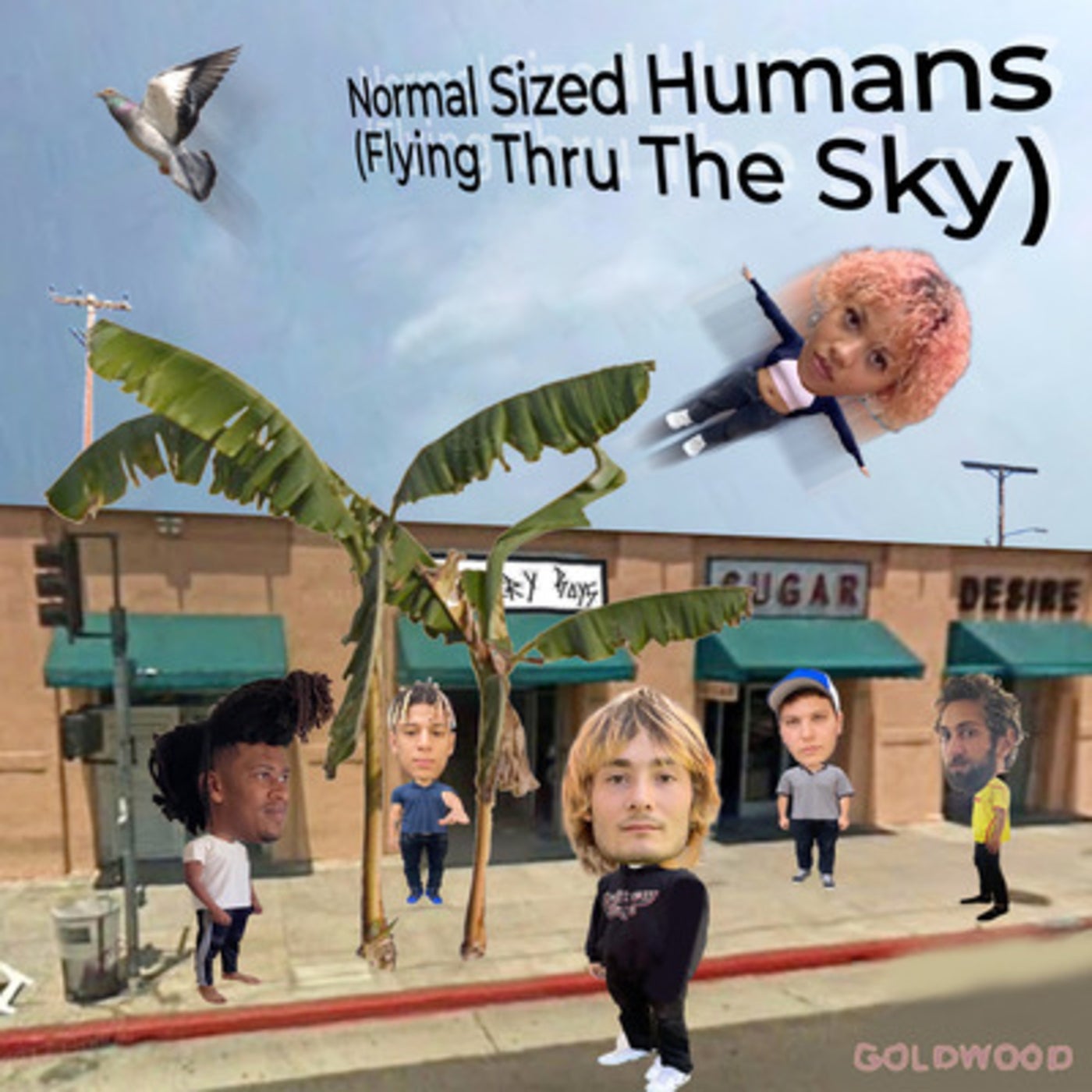 Normal Sized Humans (Flying Thru the Sky) by Goldwood on Beatsource