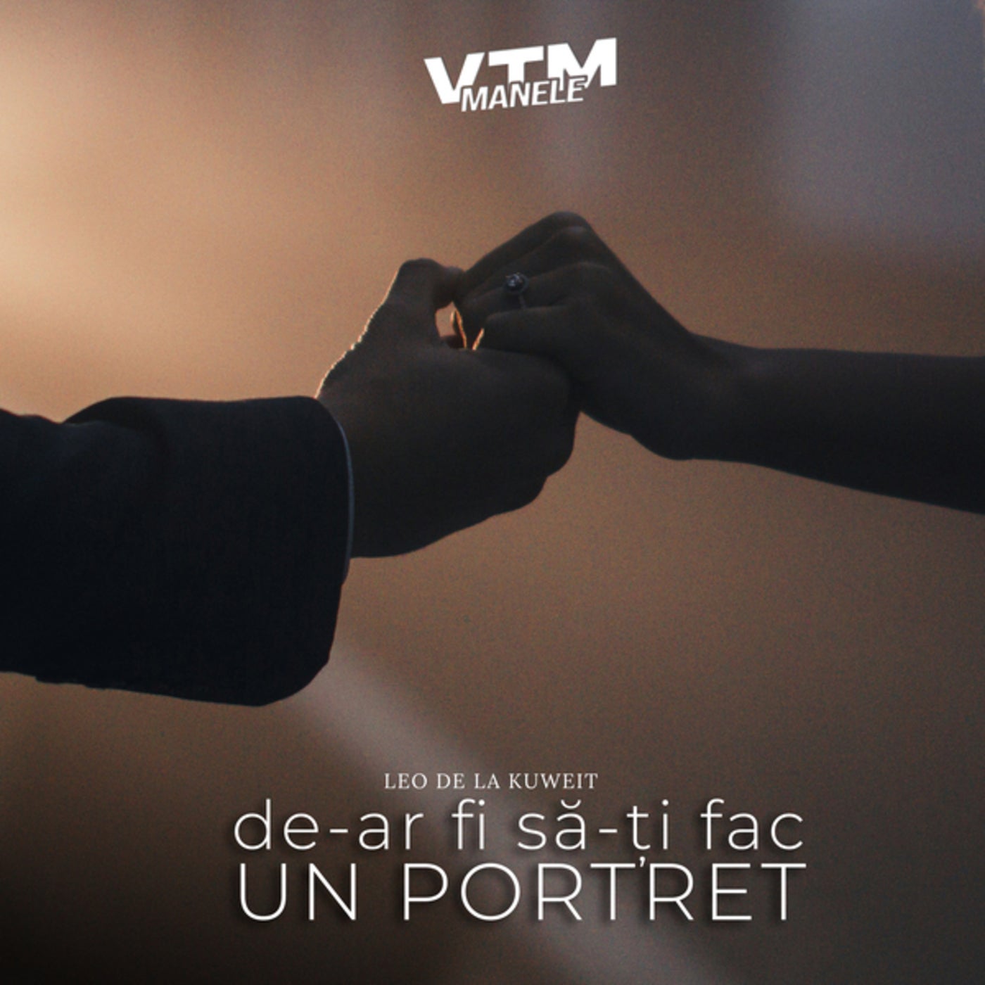 De-ar fi să-ți fac un portret by Manele VTM and Leo de la Kuweit on ...