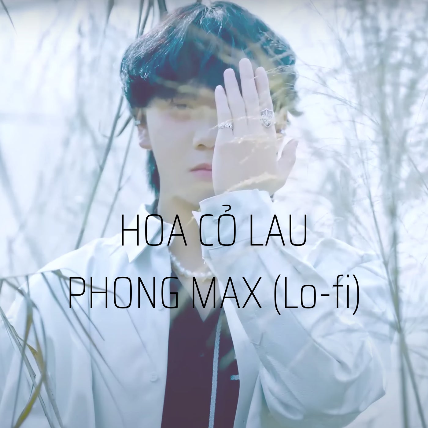 Hoa Cỏ Lau by Phong Max on Beatsource
