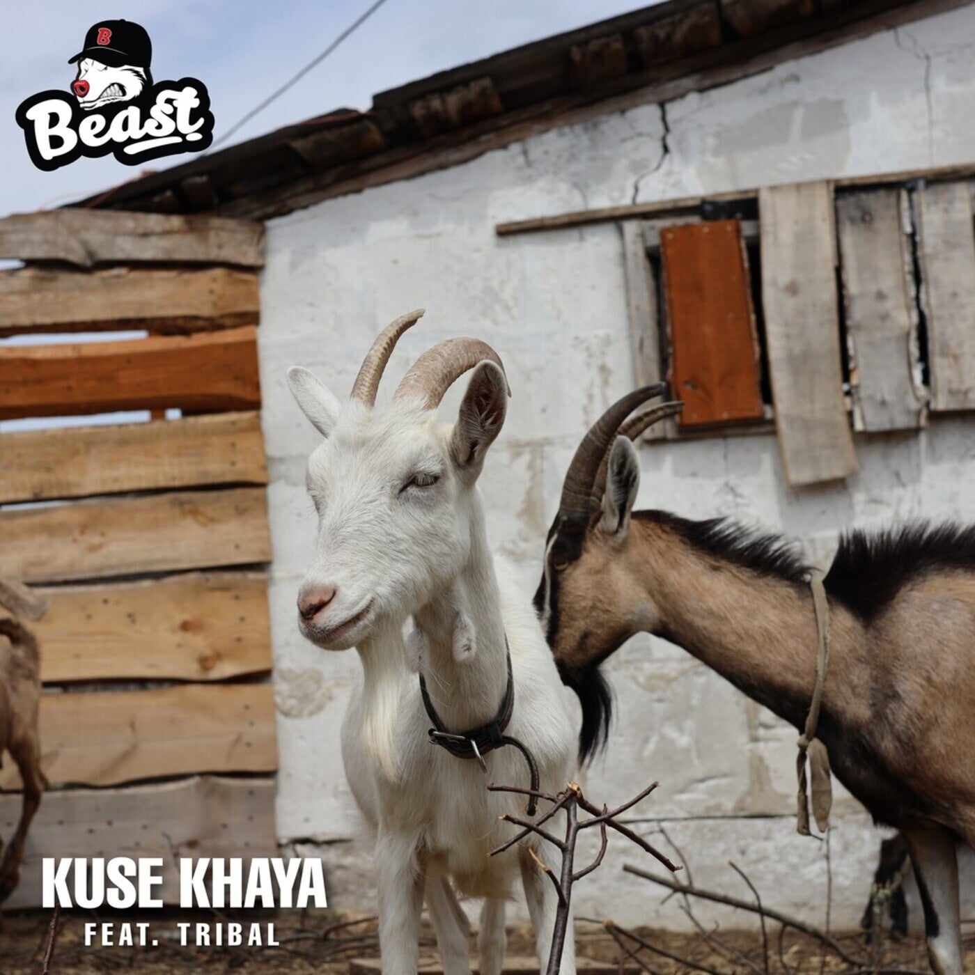 Kuse Khaya by Tribal and Beast RSA on Beatsource