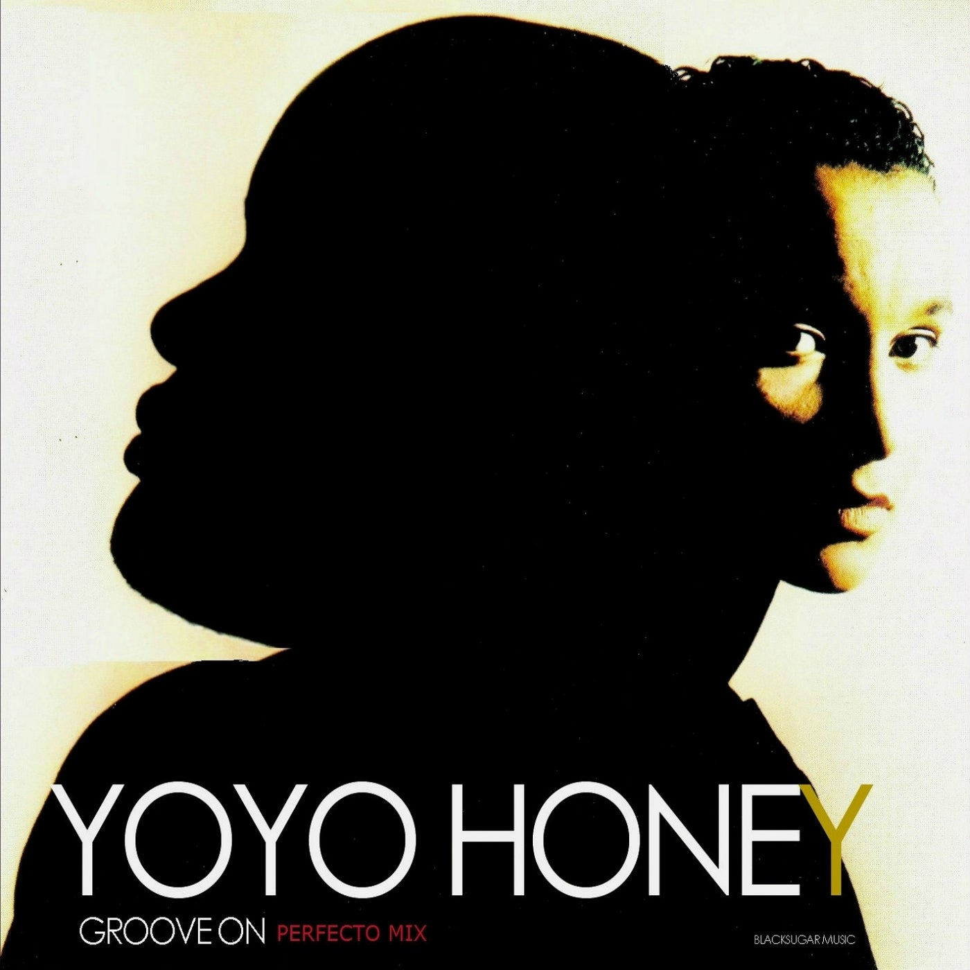 Groove On (Perfecto Mix) by Yoyohoney on Beatsource