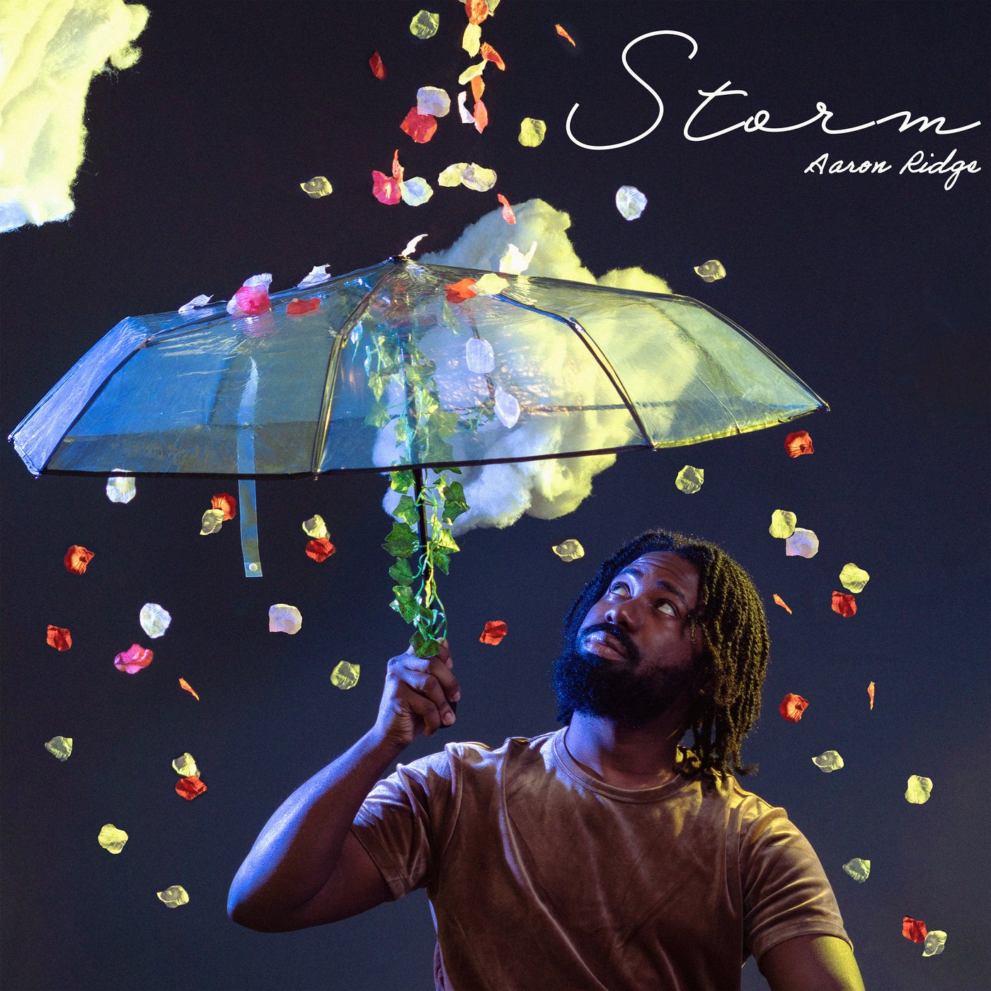 Storm by Aaron Ridge on Beatsource
