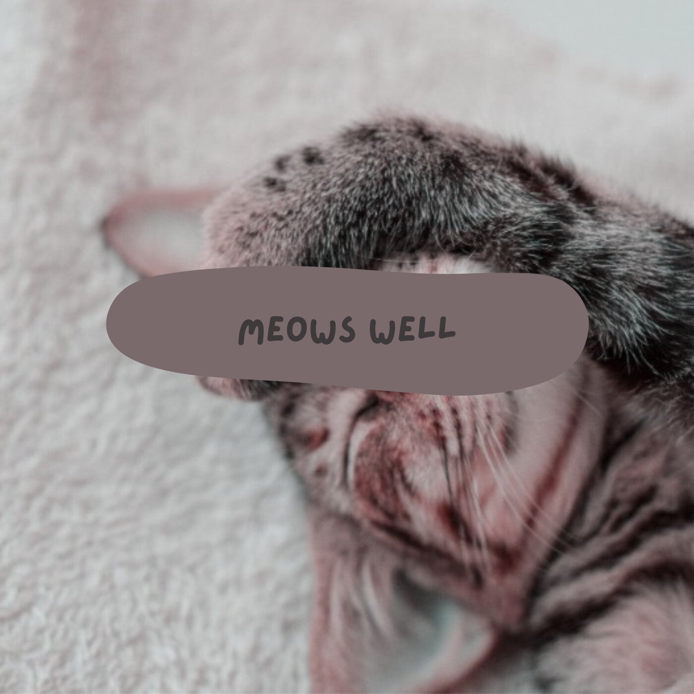 Meows well by Iris Spina on Beatsource