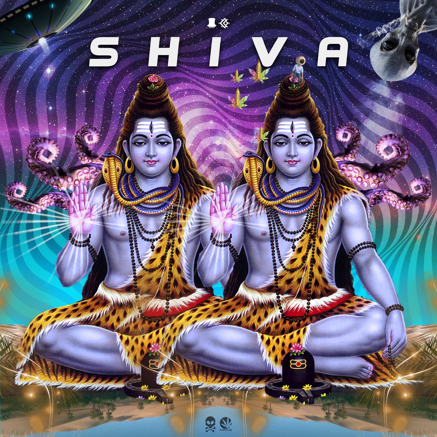 Shiva by Henrique Camacho and Chapeleiro on Beatsource