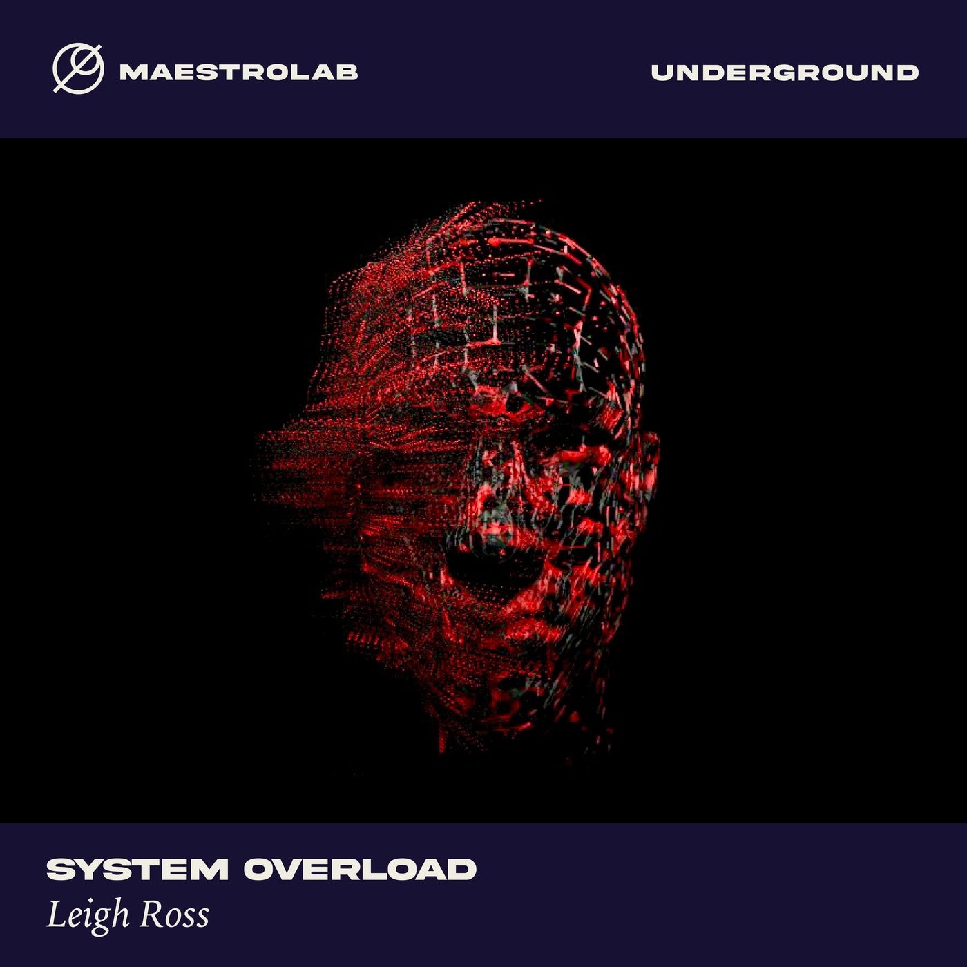 System Overload by Leigh Ross on Beatsource