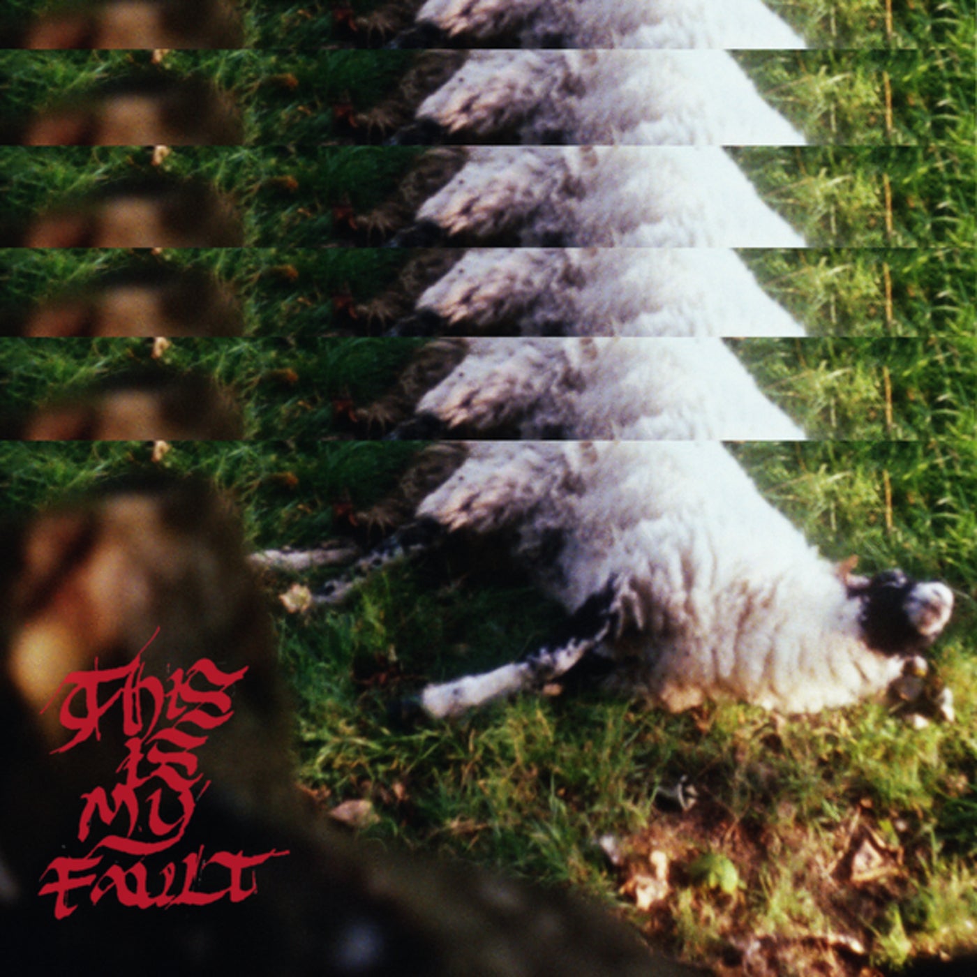This Is My Fault by Green Gardens on Beatsource