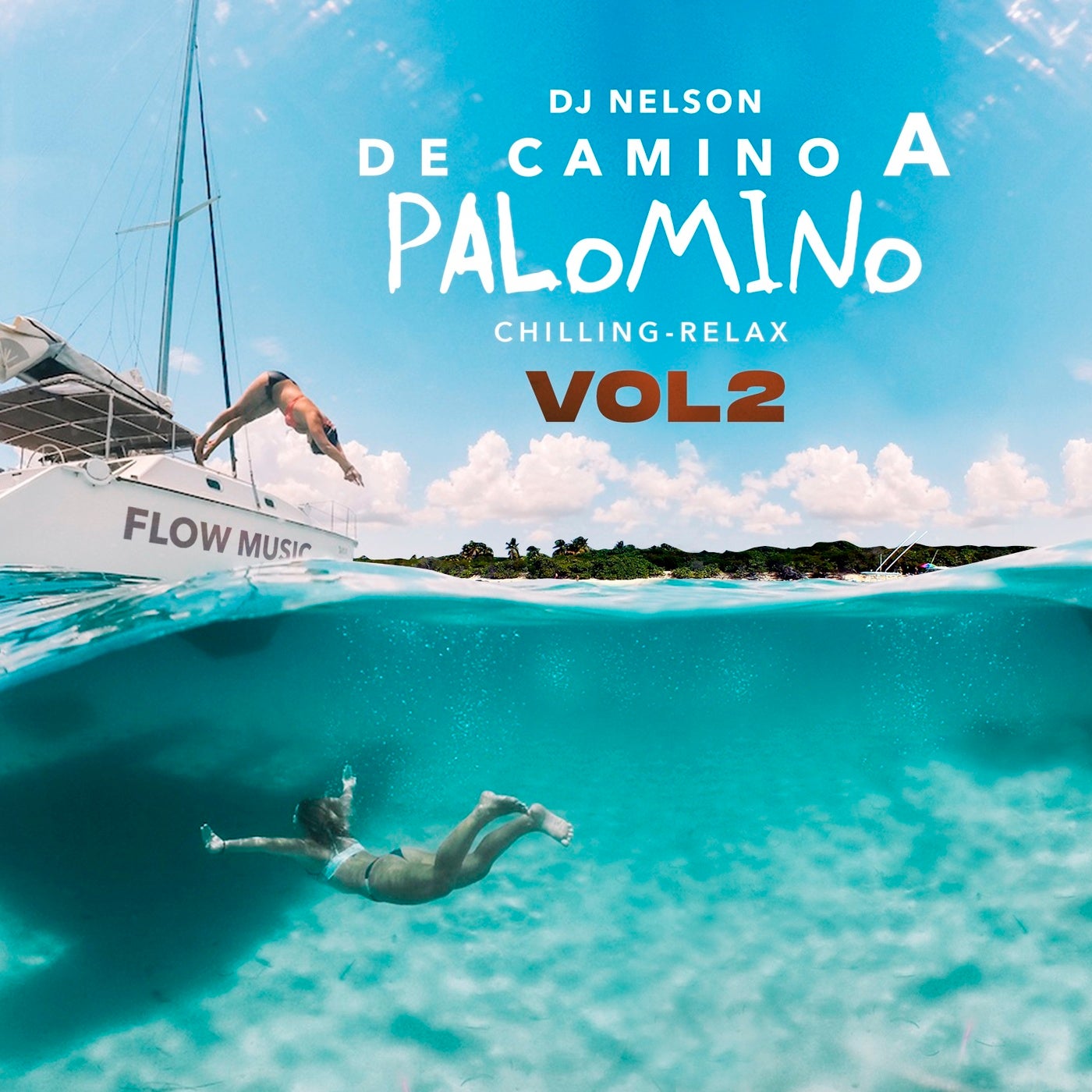 De Camino a Palomino, Vol. 2 by Eliot El Mago D Oz, Dj Nelson, Mequi ...