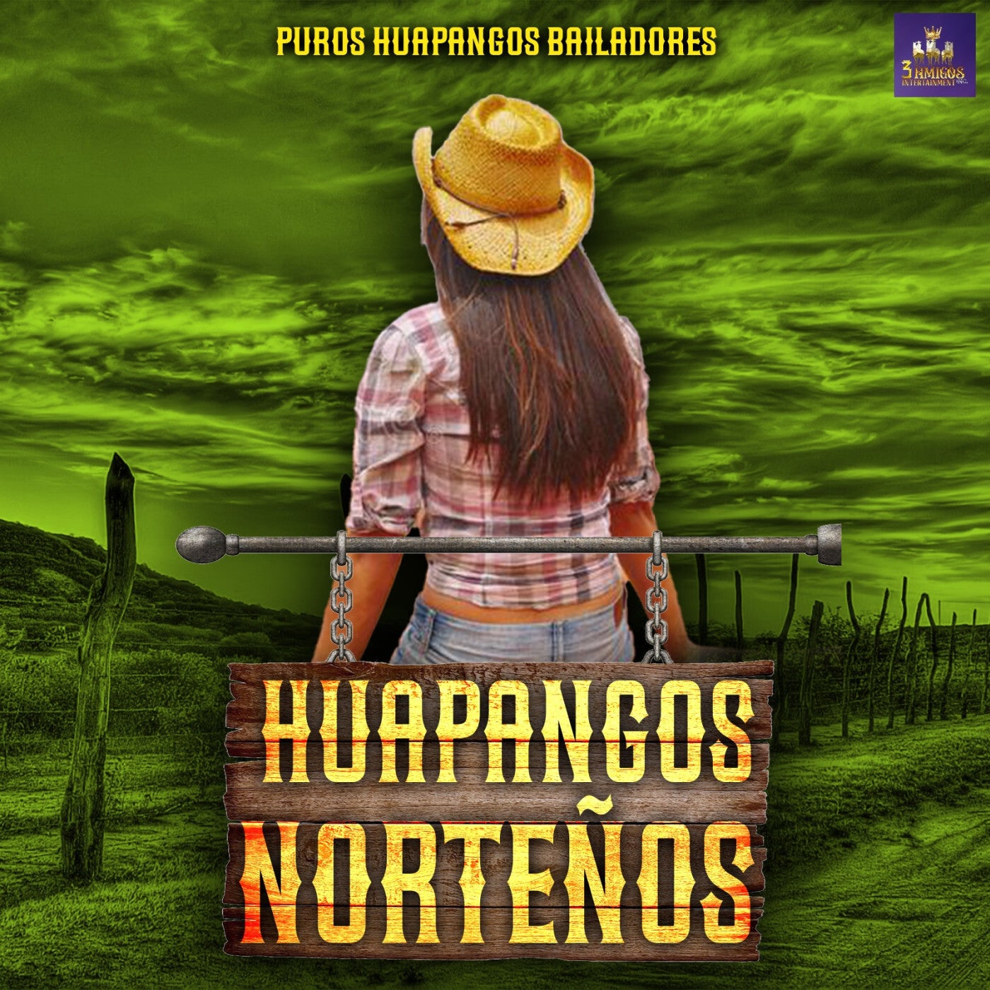 Puros Huapangos Bailadores by Huapangos Norteños and Los Mejores ...