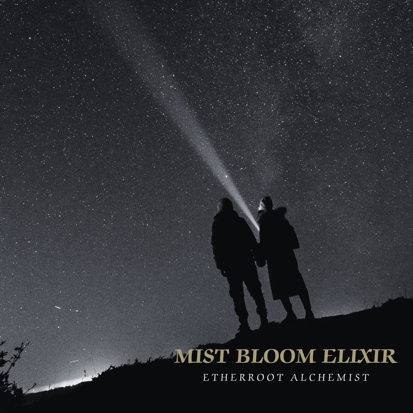 Mist Bloom Elixir by Etherroot Alchemist on Beatsource