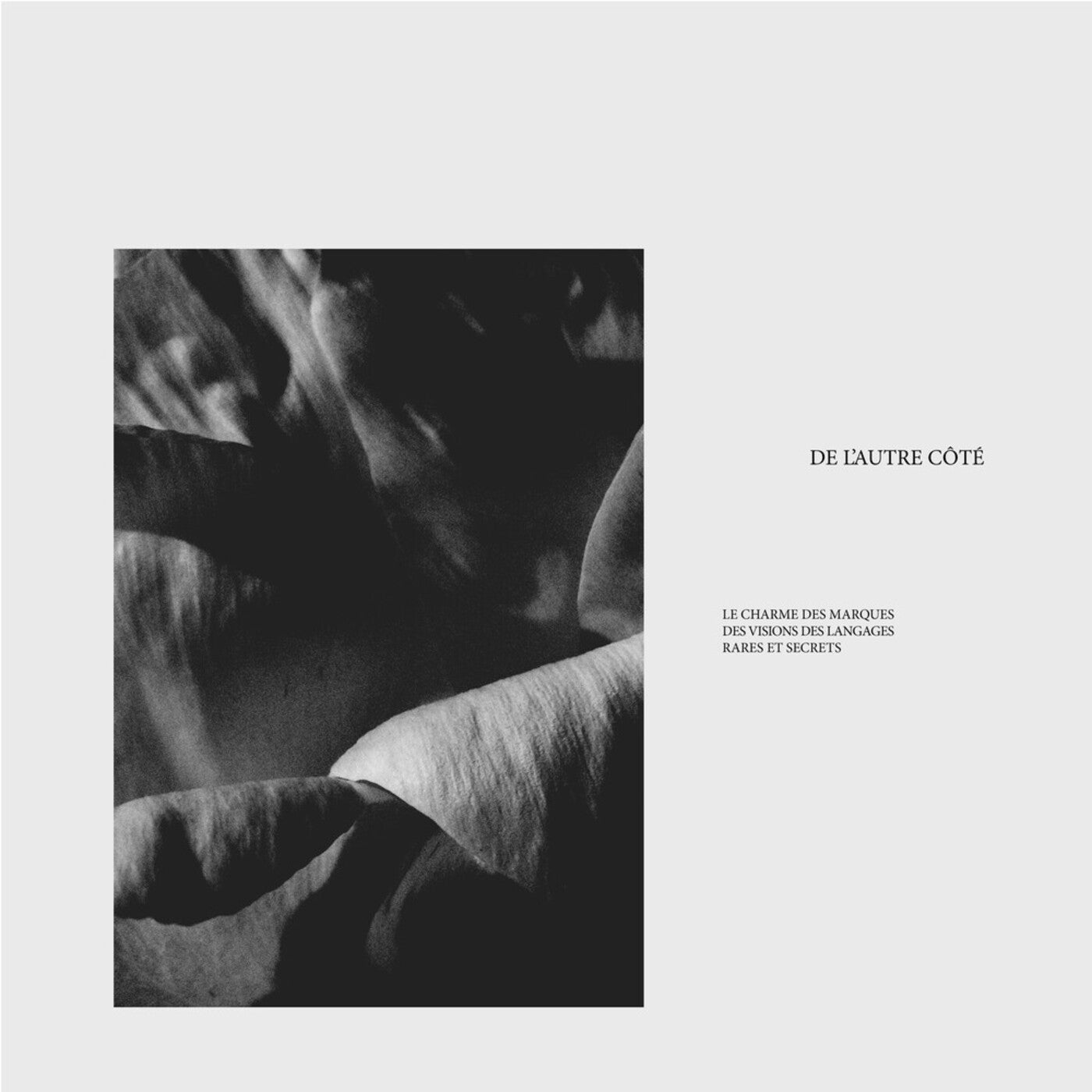 De l'autre côté by Louise Roam on Beatsource