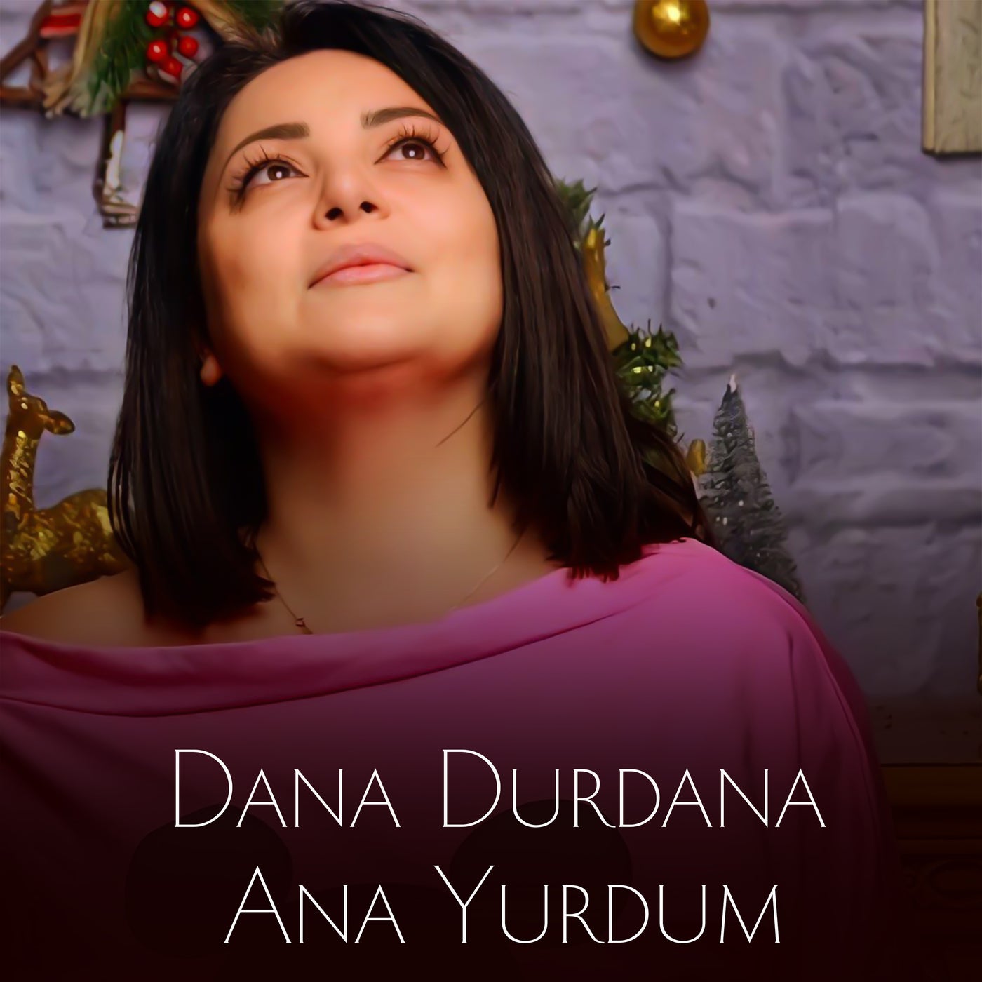 Ana Yurdum by Dana Durdana on Beatsource