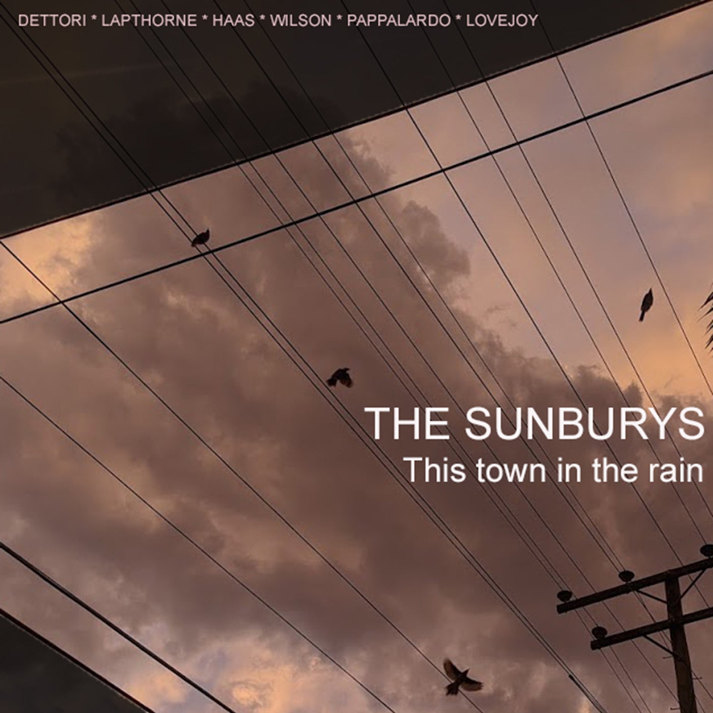 This town in the rain by Wilson, HAAS, Lovejoy, The Sunburys, Dettori, Lapthorne and Pappalardo ...