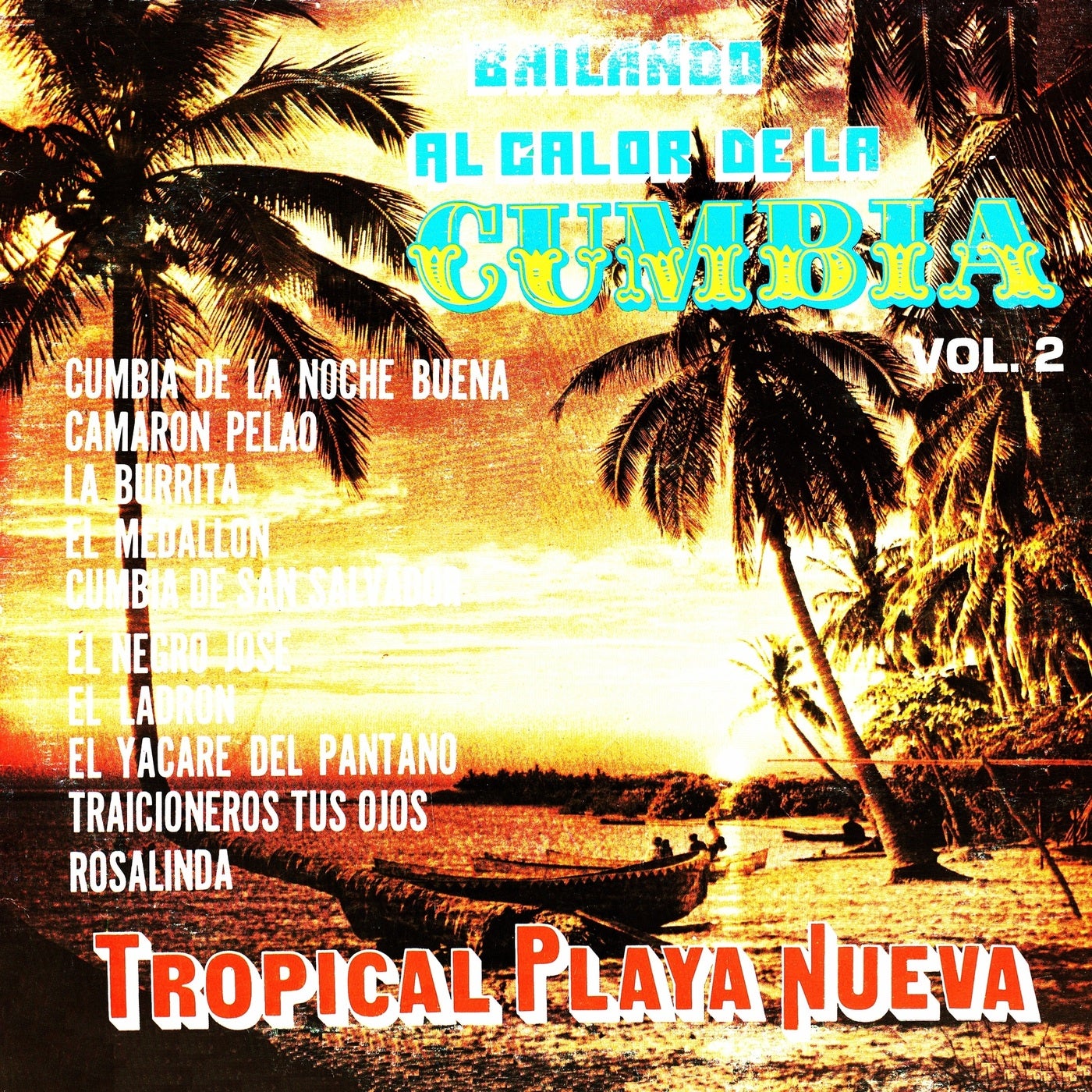 Bailando al calor de la cumbia Vol. 2 by Tropical playa nueva on Beatsource
