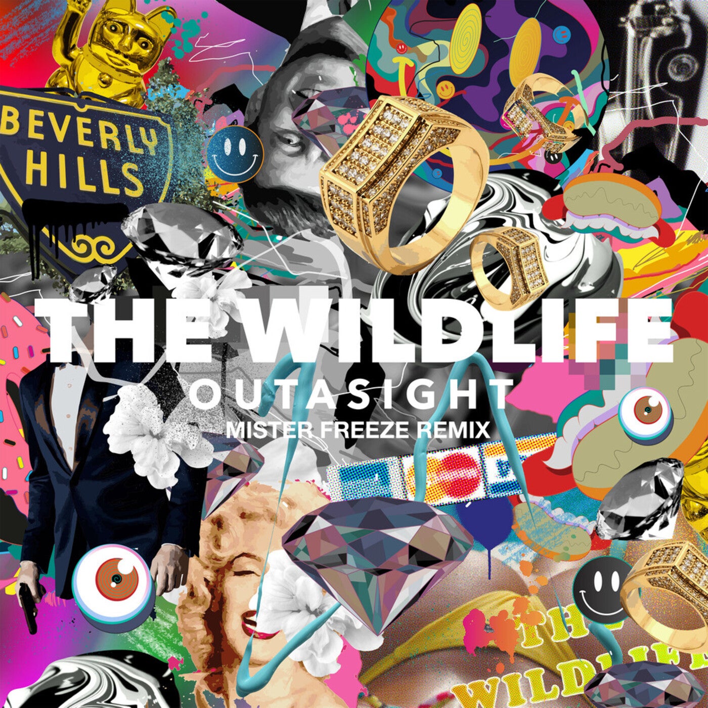 The Wild Life (Mister Freeze Remix) by Outasight on Beatsource
