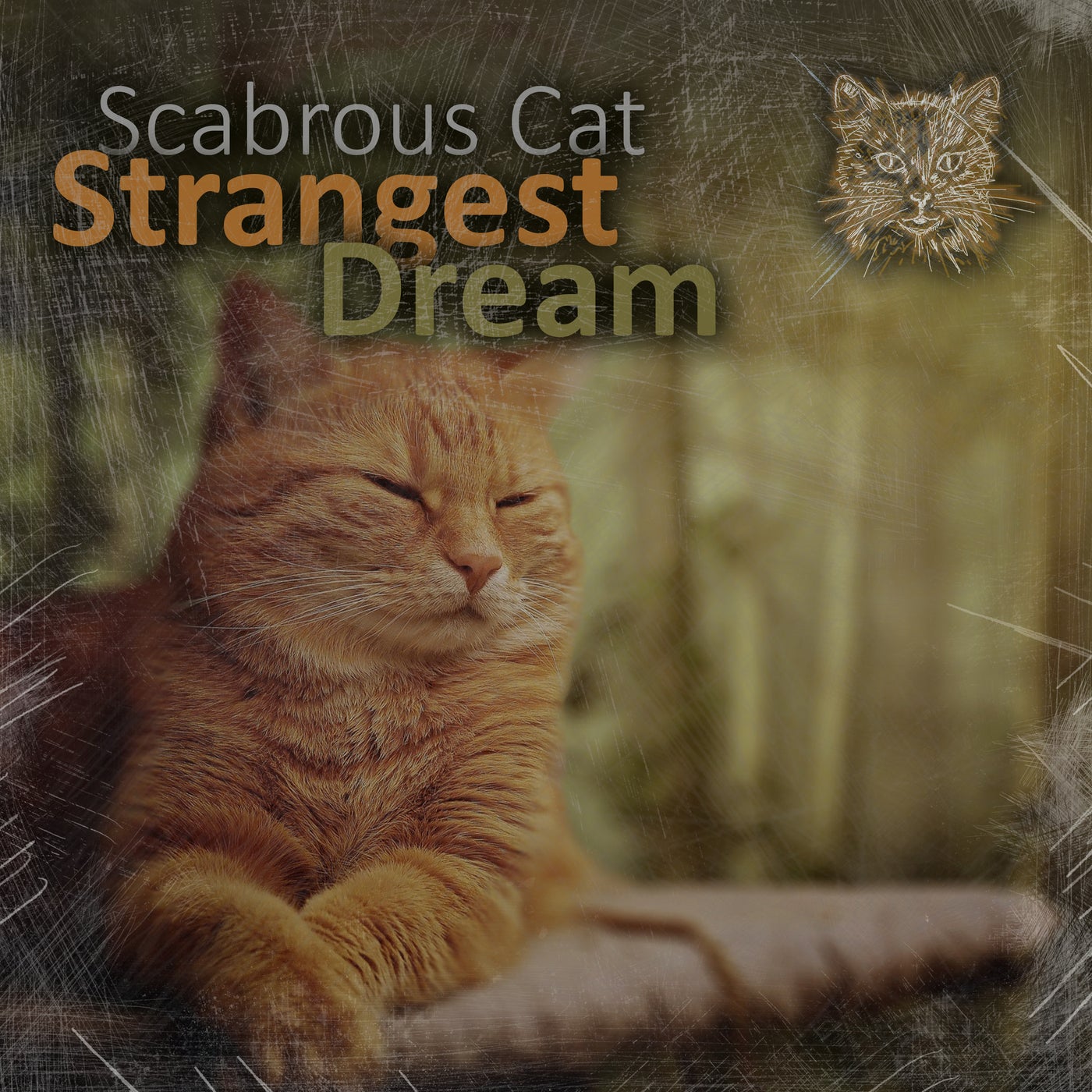 Strangest Dream by Scabrous Cat on Beatsource