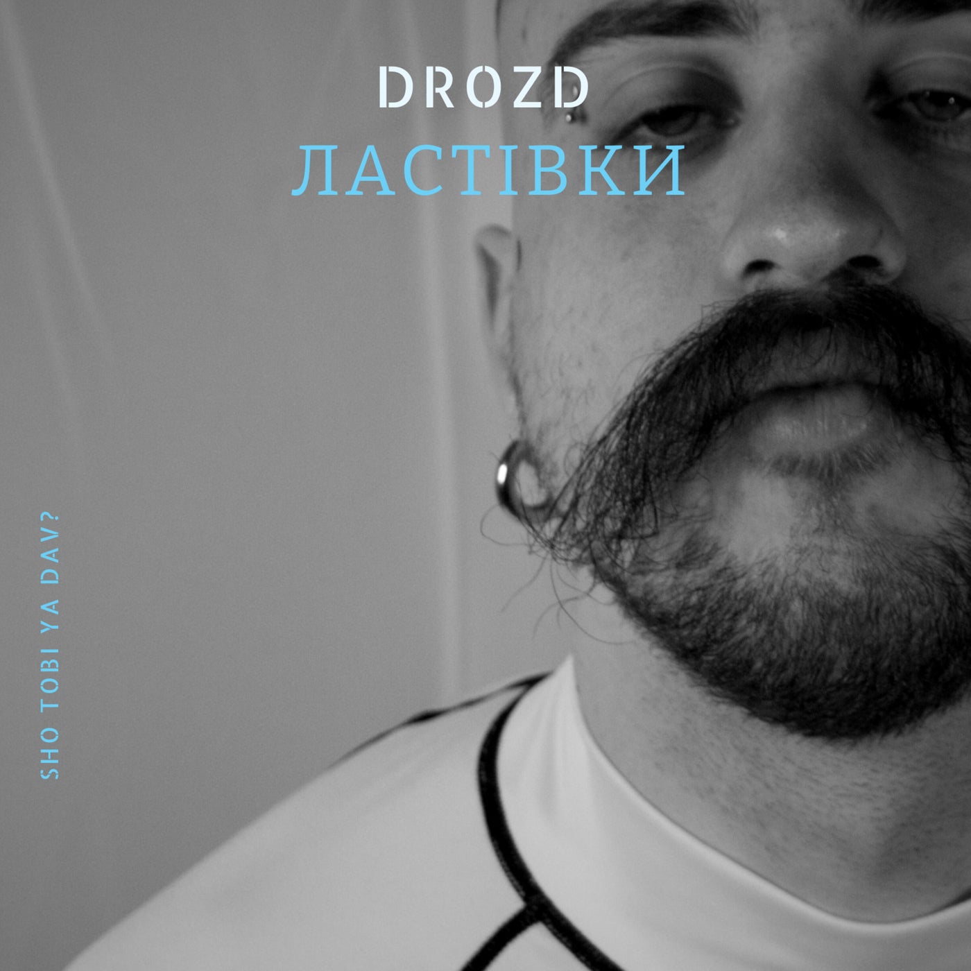 ЛАСТІВКИ by DROZD on Beatsource