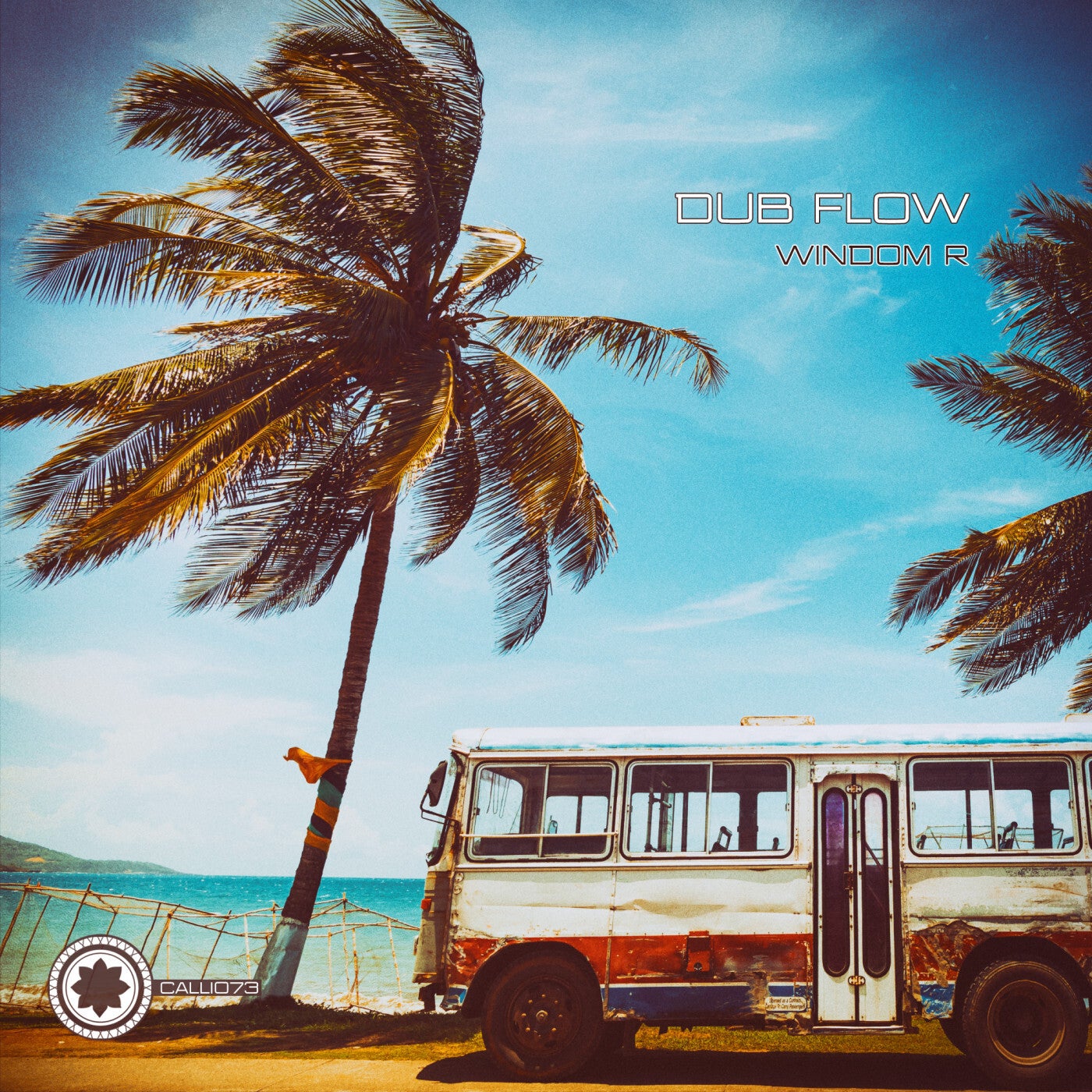 Dub Flow by Windom R on Beatsource