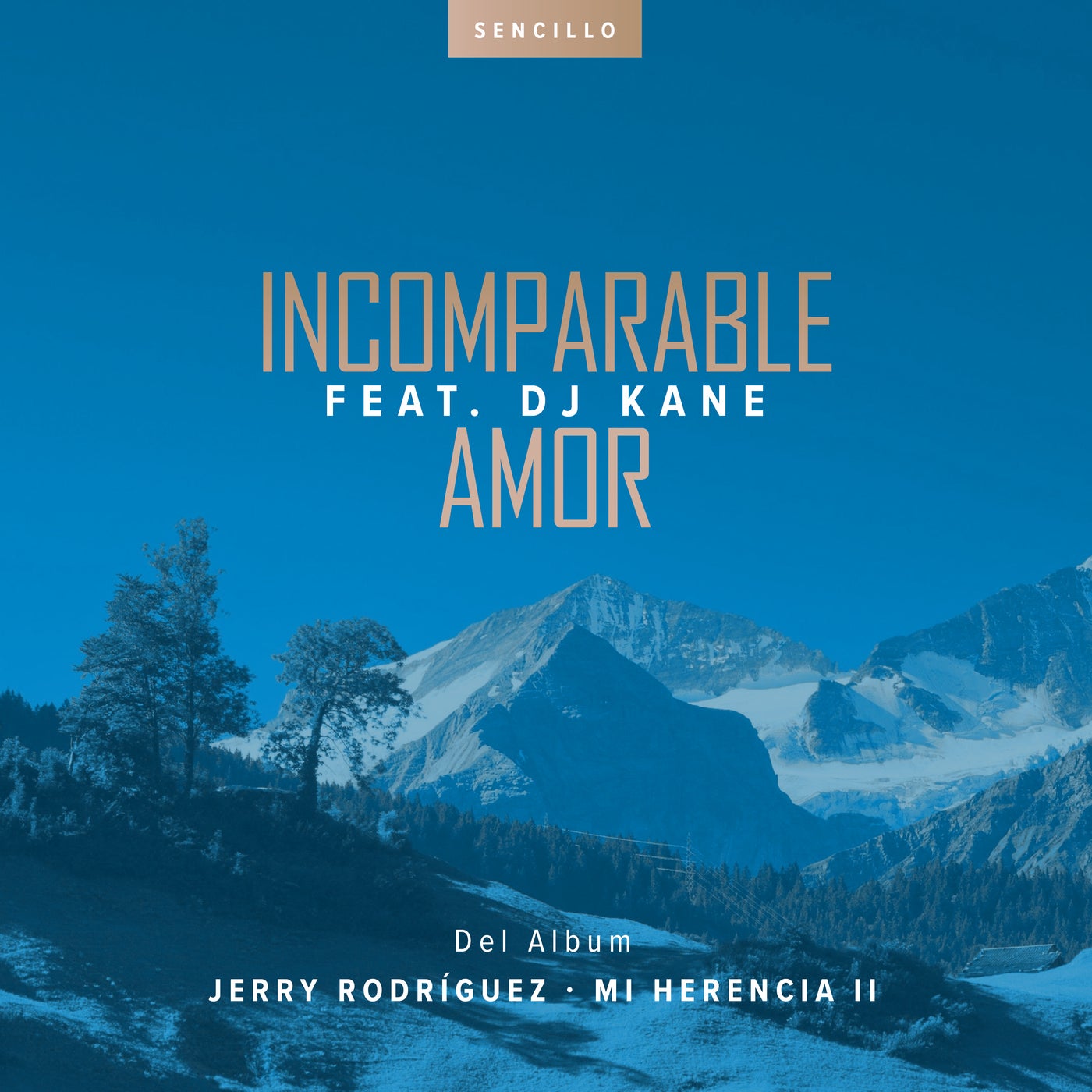 Incomparable Amor by DJ Kane and Jerry Rodriguez on Beatsource