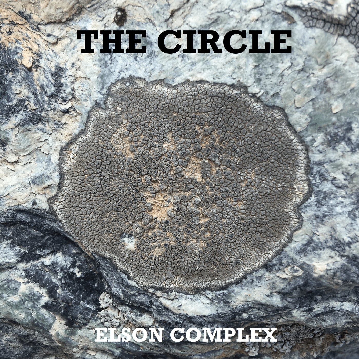 The Circle by Elson Complex on Beatsource