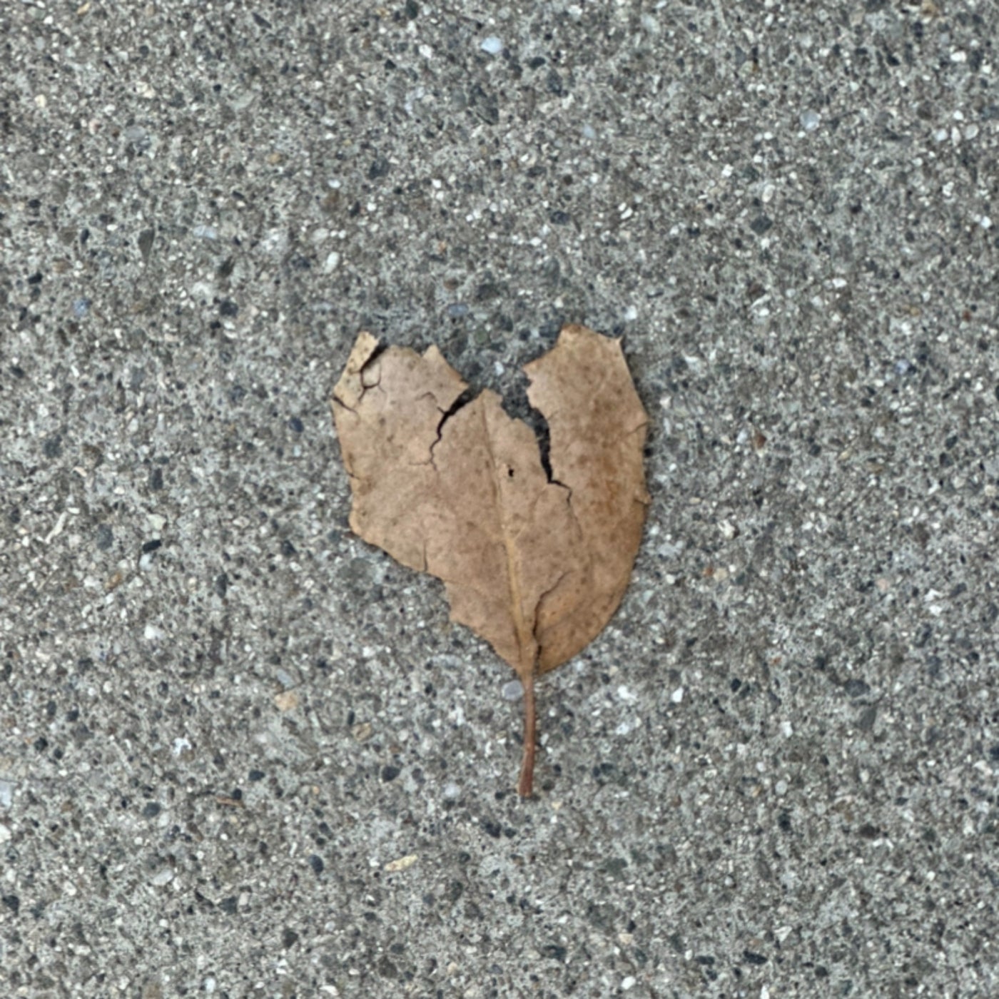 fivese7en by J57 and Hi-Q on Beatsource