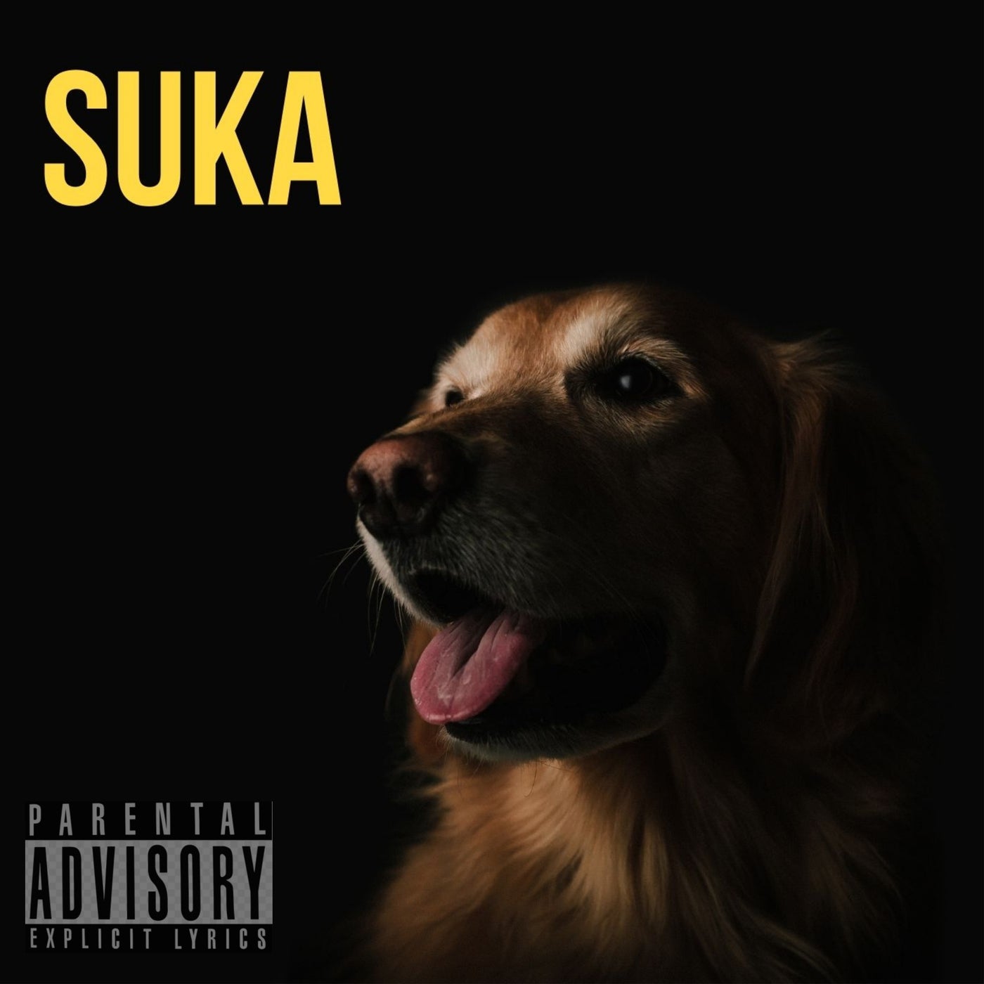 Suka by 0332 CREW on Beatsource