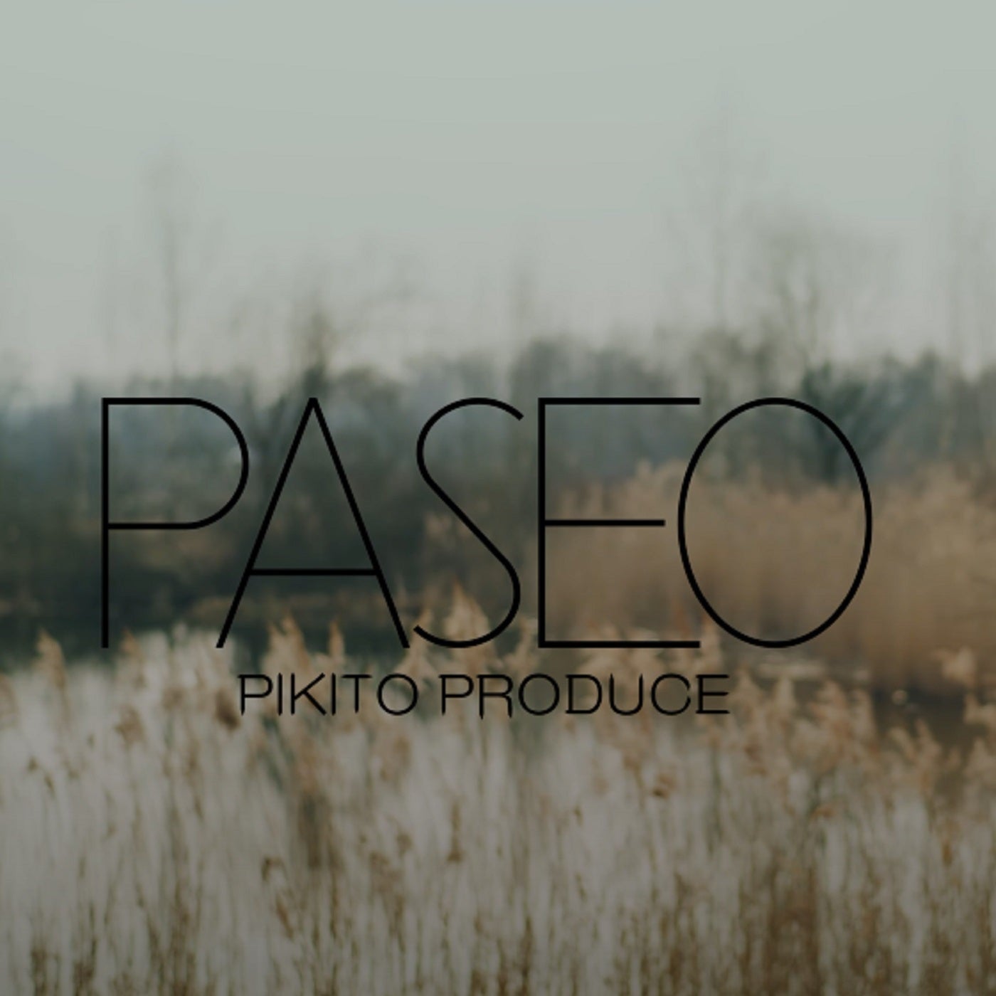 Paseo by Pikito Produce on Beatsource