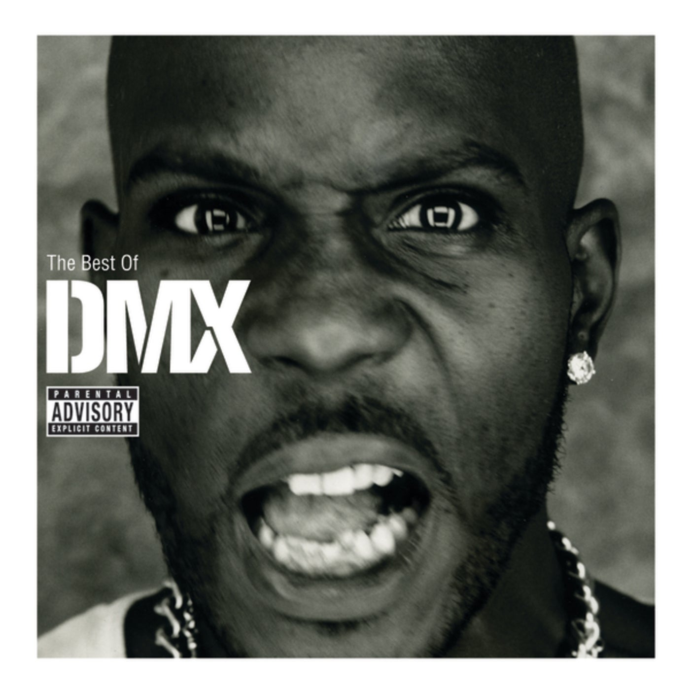 The Best Of DMX by DMX, Sisqo, Sheek, Swizz Beatz, Method Man, Nas, Ja ...